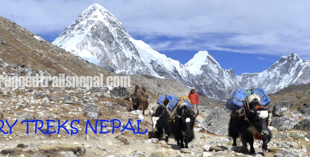 Nepal Trekking for Luxury travelers Everest Base Camp and Annapurna ...